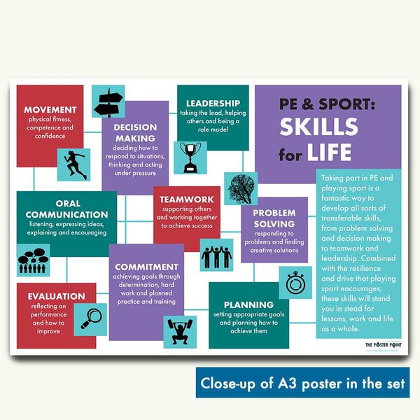 Careers in Sport classroom display – The Poster Point